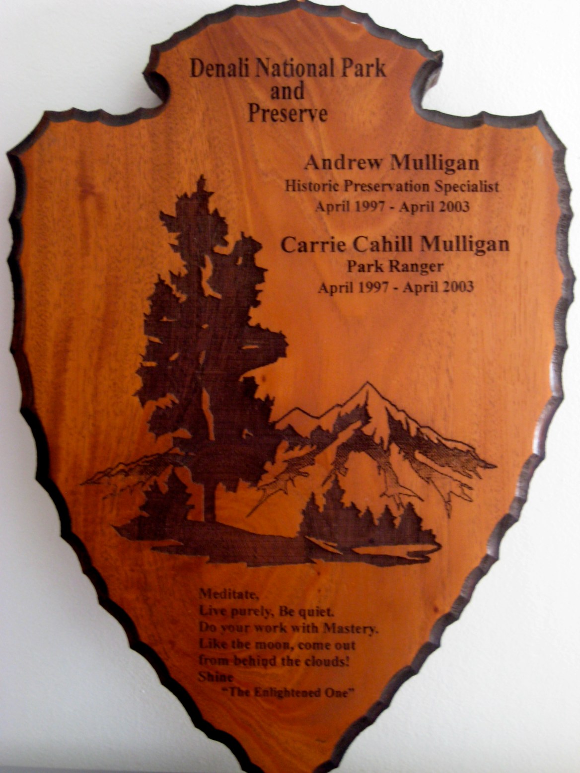 17 Days of Green – The Green & Grey of the NPS | Carrie Cahill Mulligan